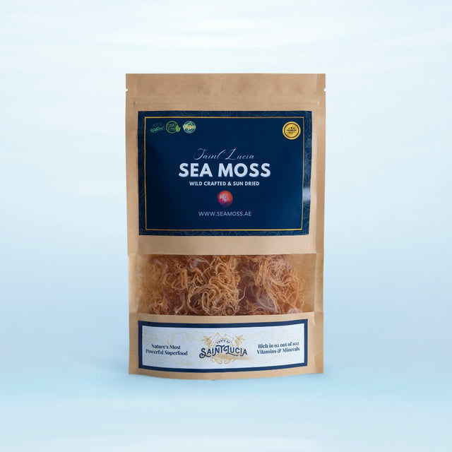 Full Spectrum Sea Moss Gel – Collagen-Boosting Superfood | Seamoss.ae